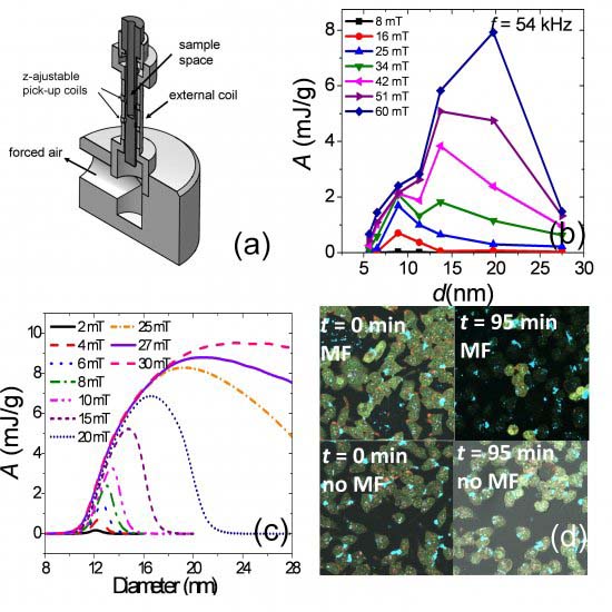 Main research topics - Applications in nanomedecine and energy storage