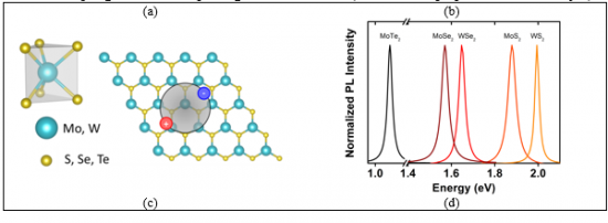 Main research topics - Study of excitonic and spin-valley properties in ...